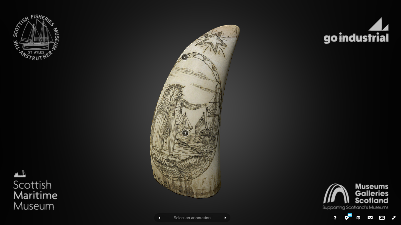 Carved Sperm Whale Tooth (Scrimshaw) - Go Industrial