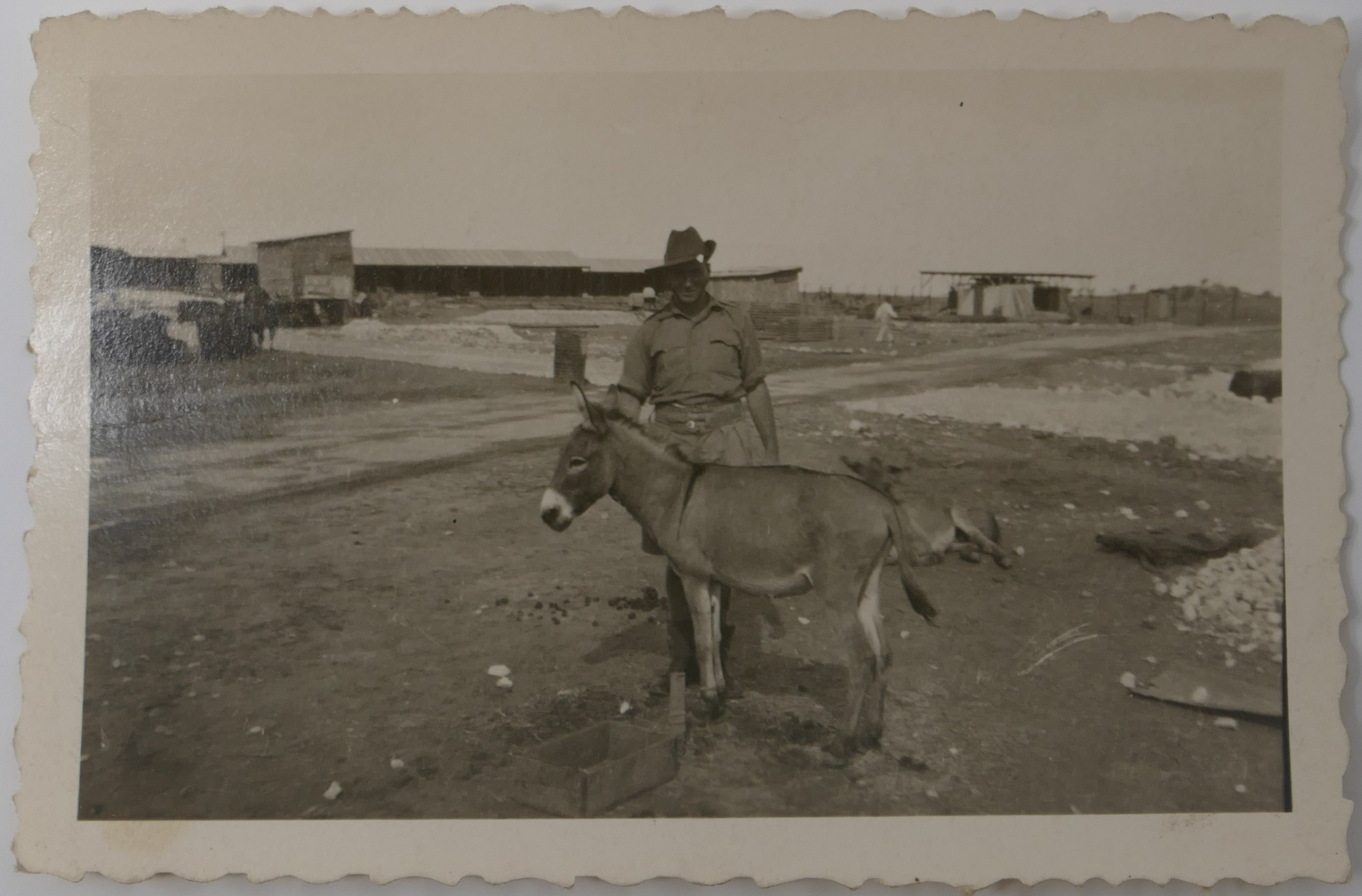 Photograph of a soldier and a donkey - Go Industrial